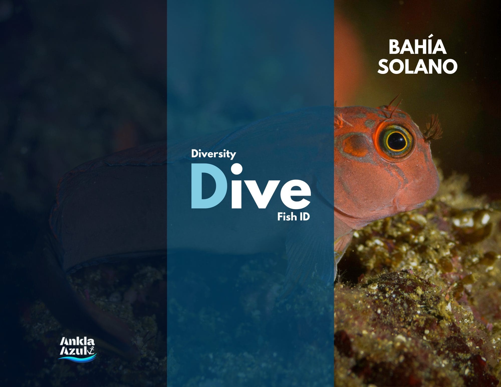 Ankla Azul | Marina Adventure