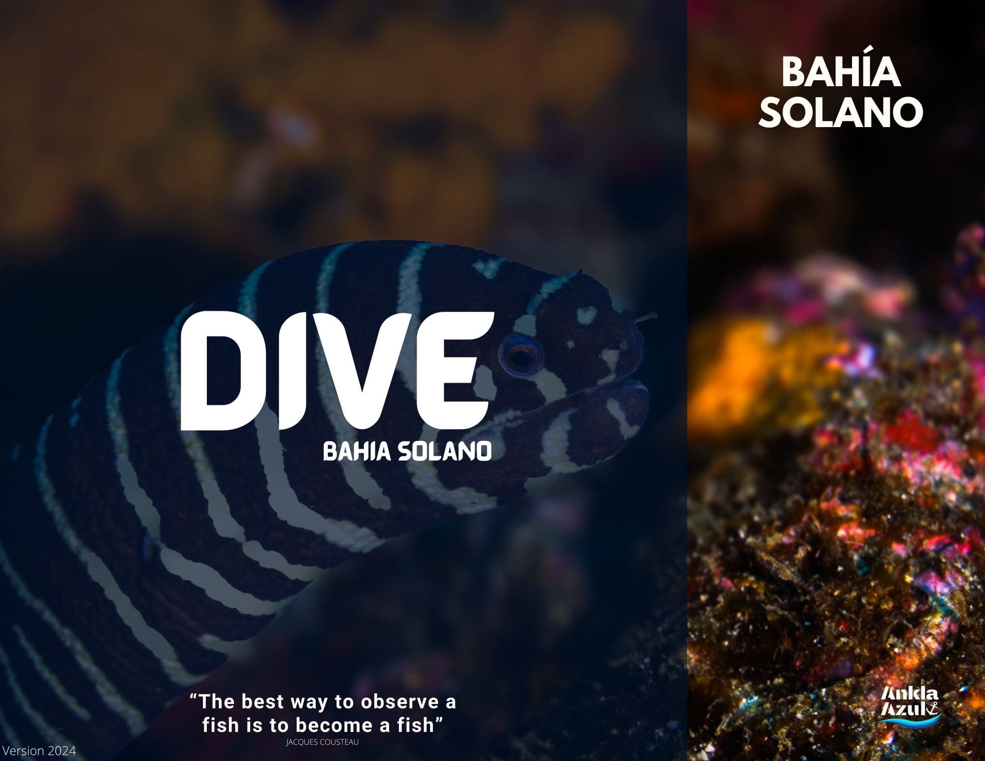 Fun Dives in Bahia Solano | Scuba & Freediving in Colombia