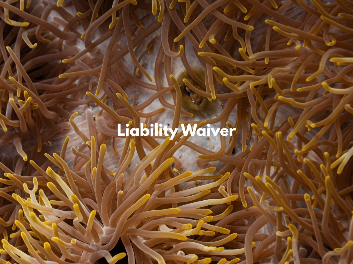 Digital Dive Waiver & Medical Form | Ankla Azul Diving Center
